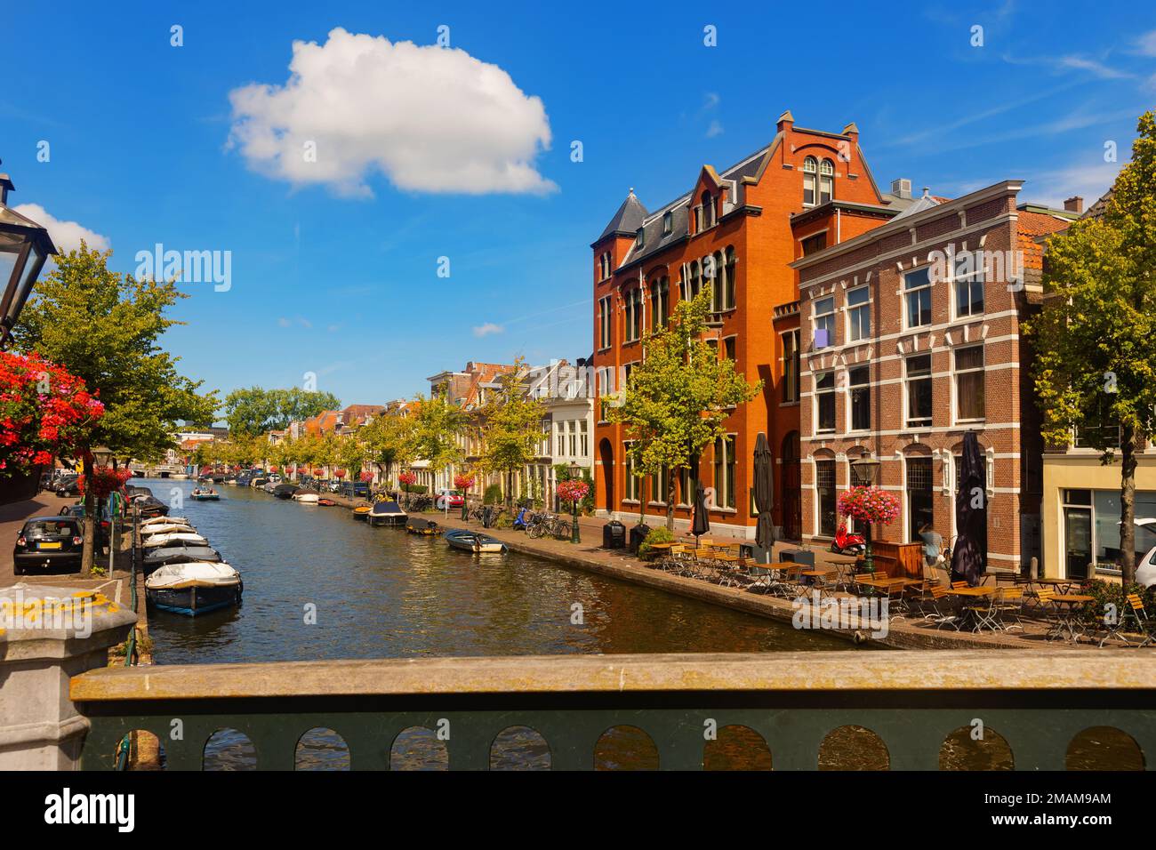 Summer landscape with a view of the city streets of Leiden Stock Photo ...