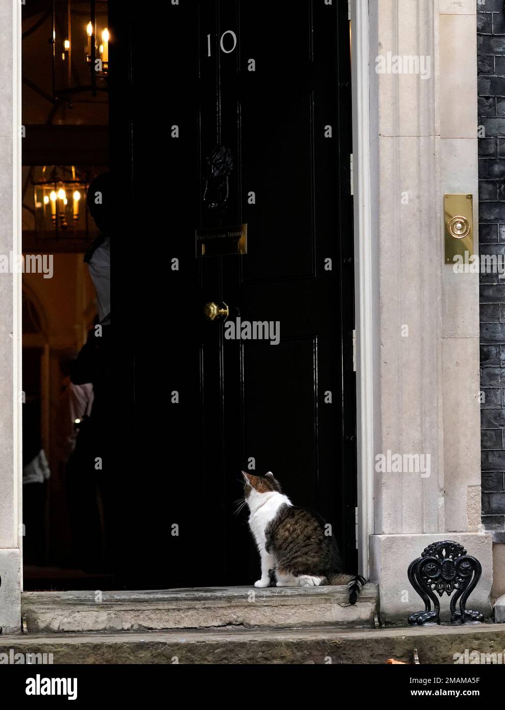 Larry the Cat sits outside 10 Downing Street in London, Wednesday, Sept ...