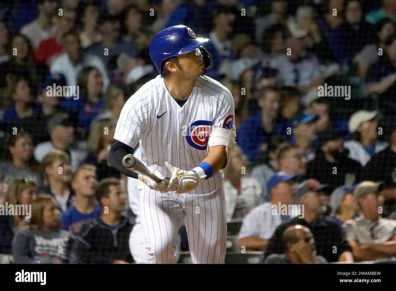 Chicago Cubs' Seiya Suzuki watches his two-run home run off Cincinnati ...