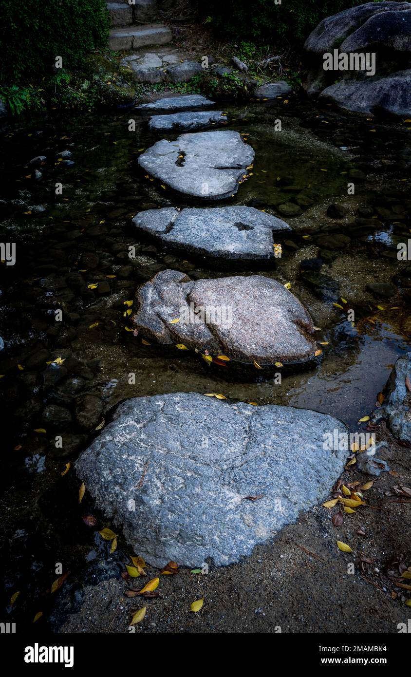 Stepping stone pathway vector hi-res stock photography and images - Alamy