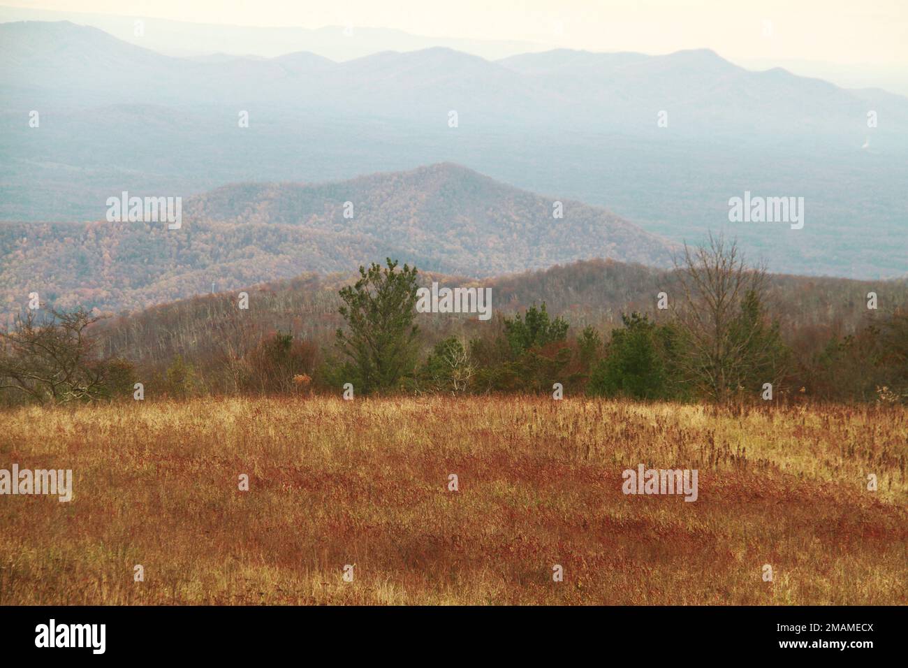 Blue Ridge Mountains, Virginia, USA. Beautiful view from Cole Mountain ...