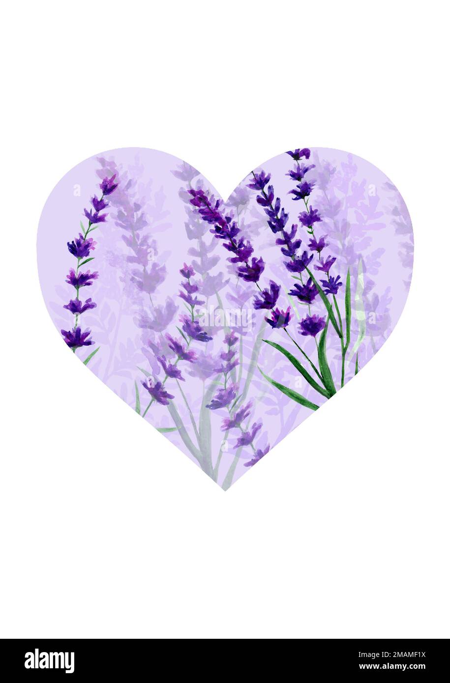 Purple Lavender Heart. Valentine's Day Concept. Watercolor Illustration ...