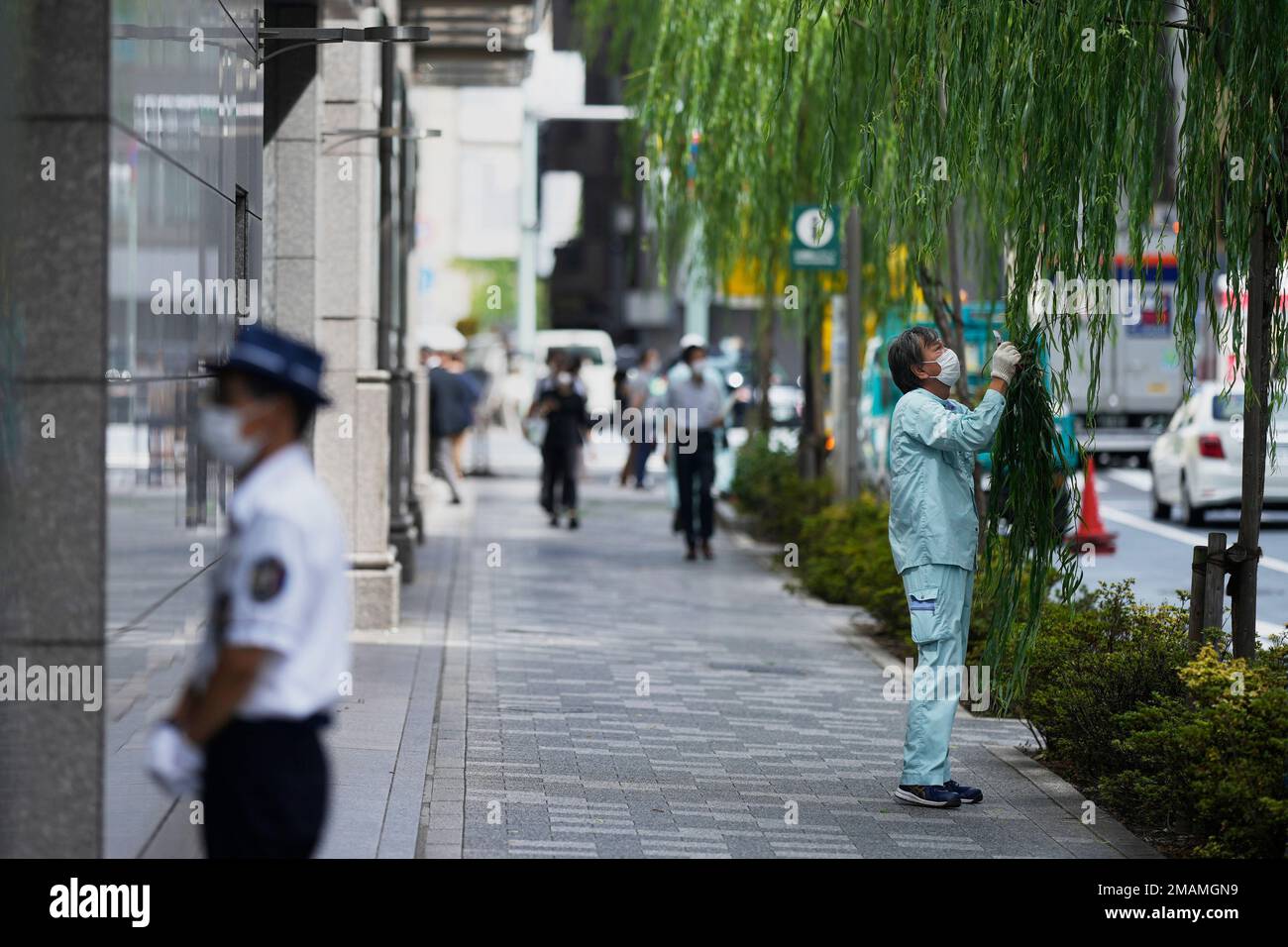 A custodian, right, wearing a face mask trims a tree planted on a ...