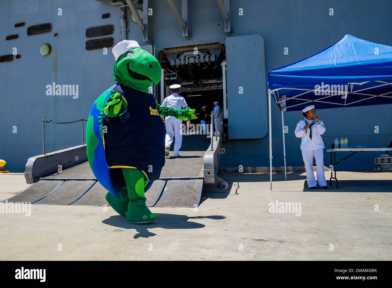 LOS ANGELES (May 30, 2022) Stewie the Turtle, mascot of United States ...