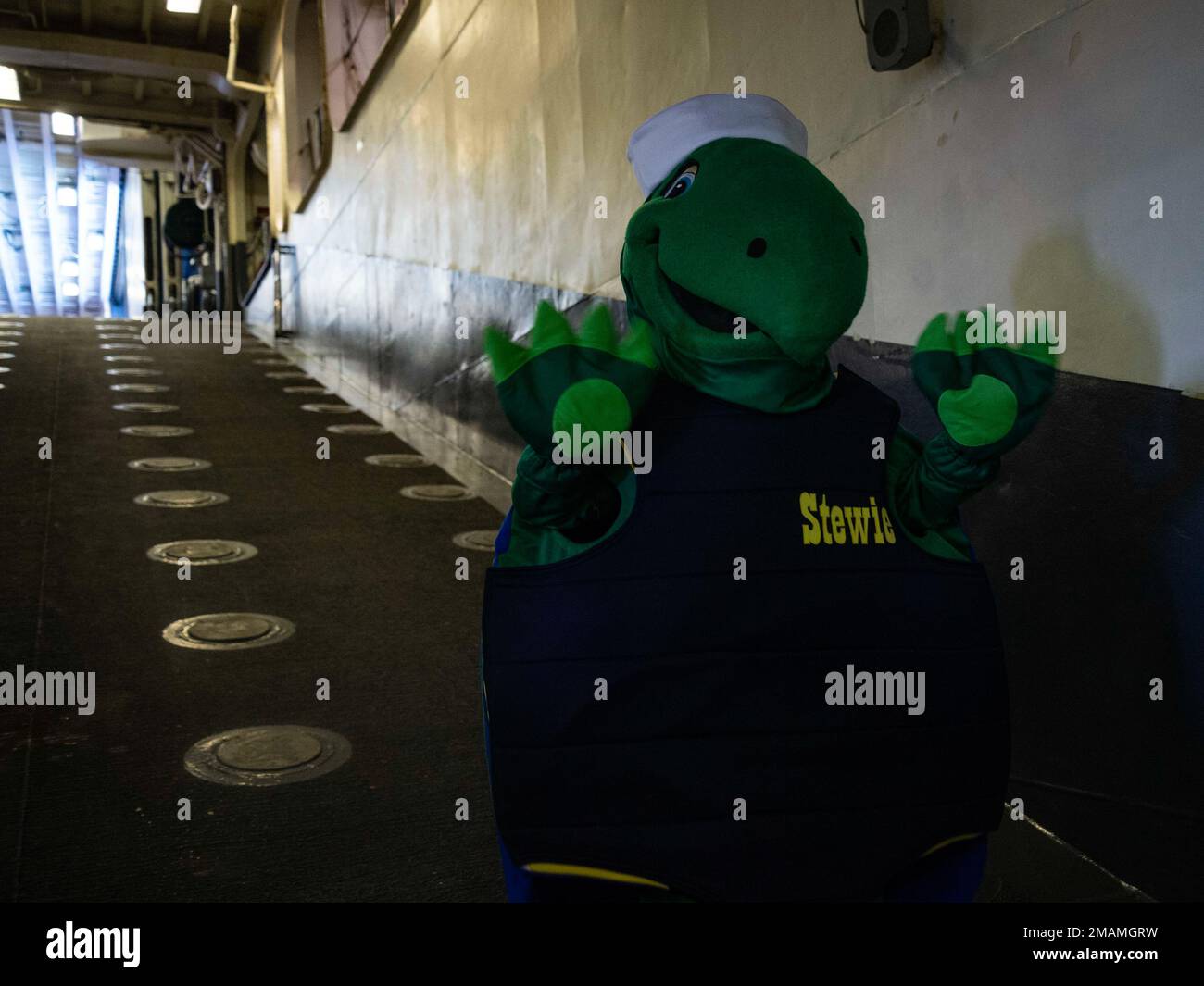 LOS ANGELES (May 30, 2022) Stewie the Turtle, mascot of United States ...