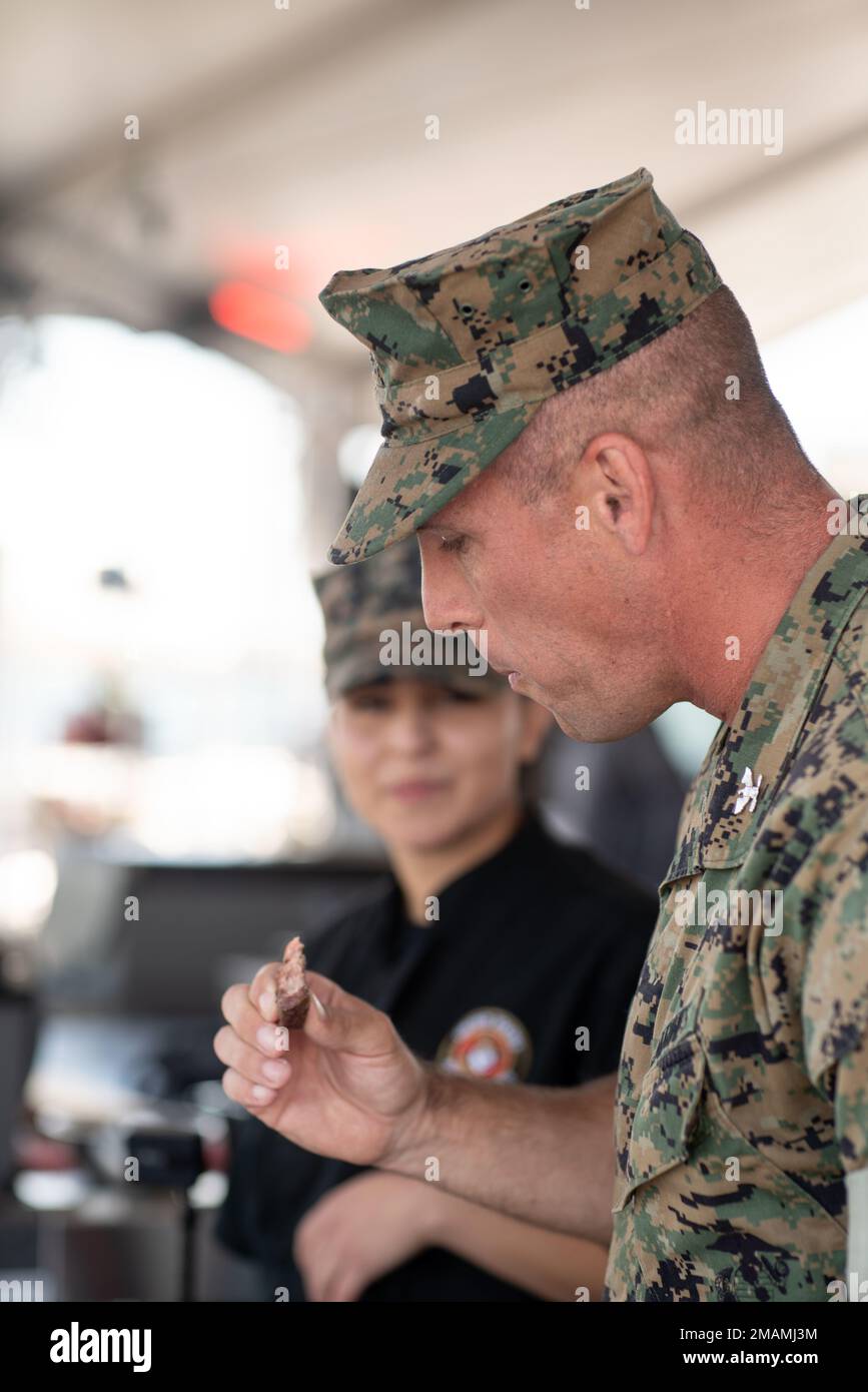 U.S. Marines Corps Col. Sean Dynan, commanding officer of the 15th ...