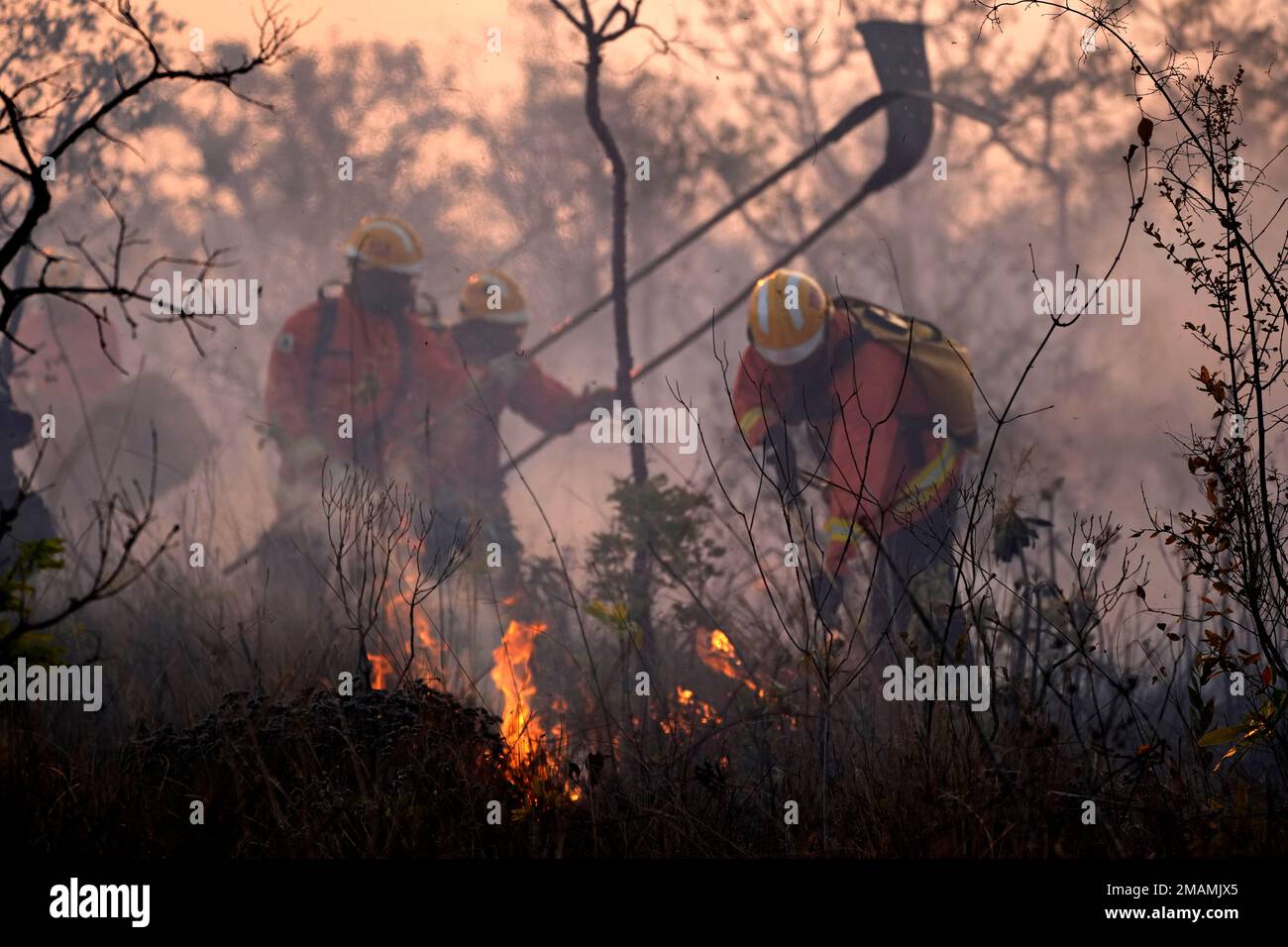 Firefighters work to put out large-scale fires in the native cerrado ...