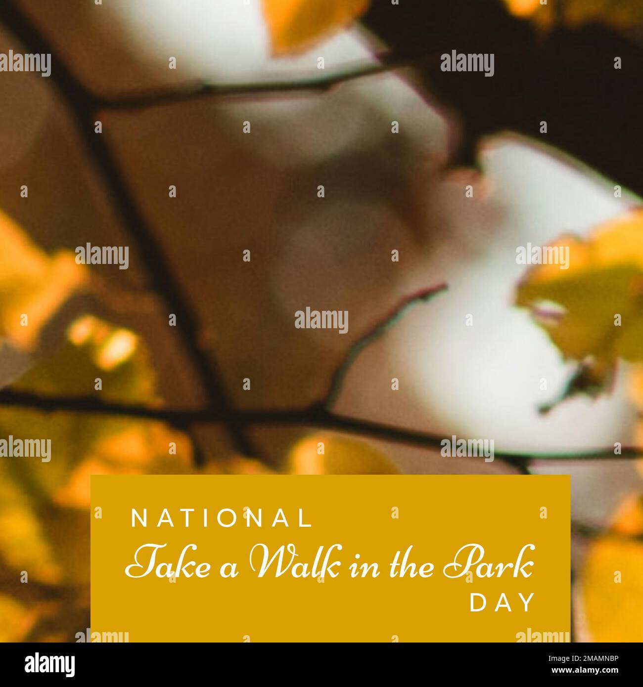 Composition of national take a walk in the park day text over branch ...