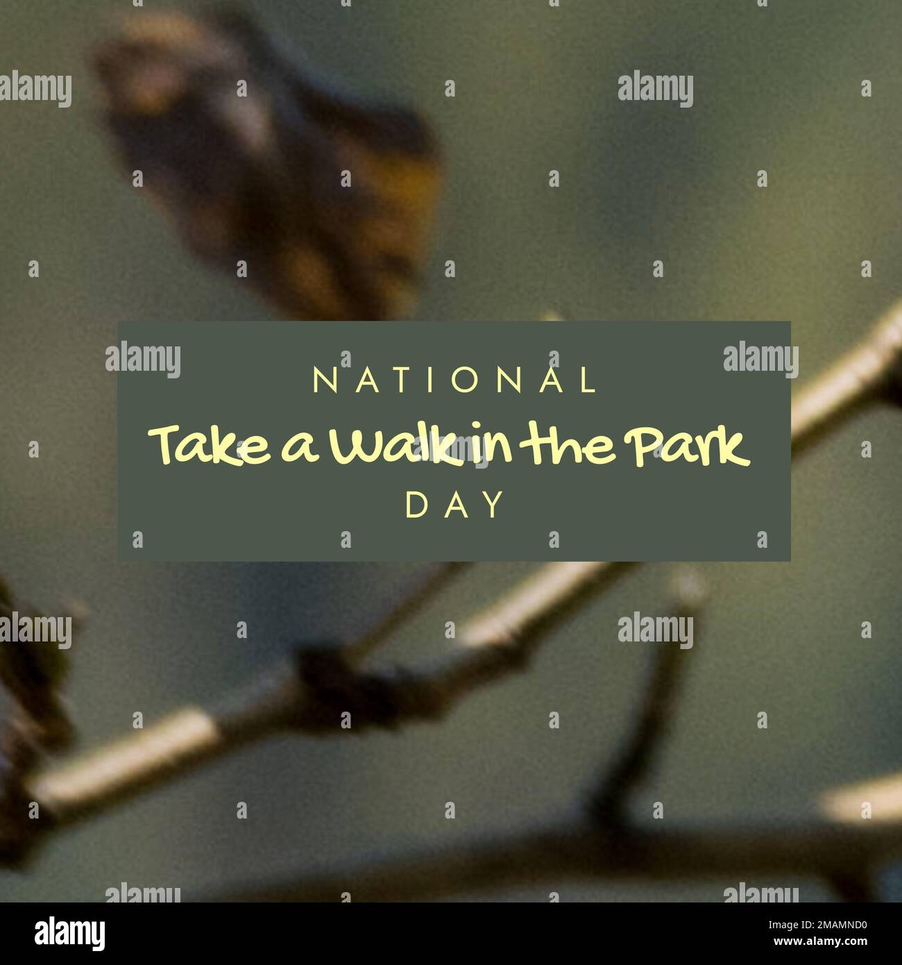 Composition of national take a walk in the park day text over branch ...