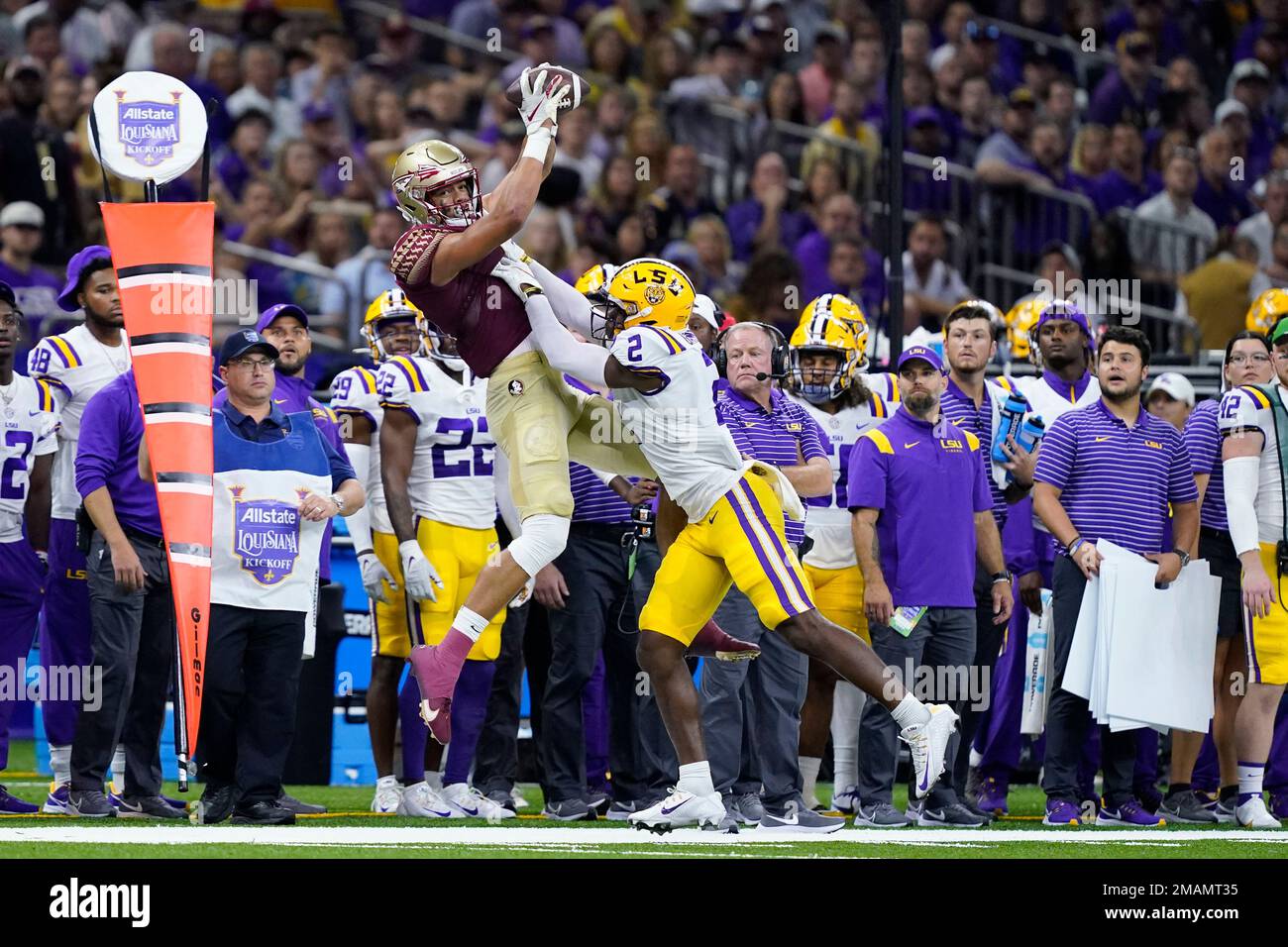 Florida State wide receiver Johnny Wilson pulls in a pass over LSU ...