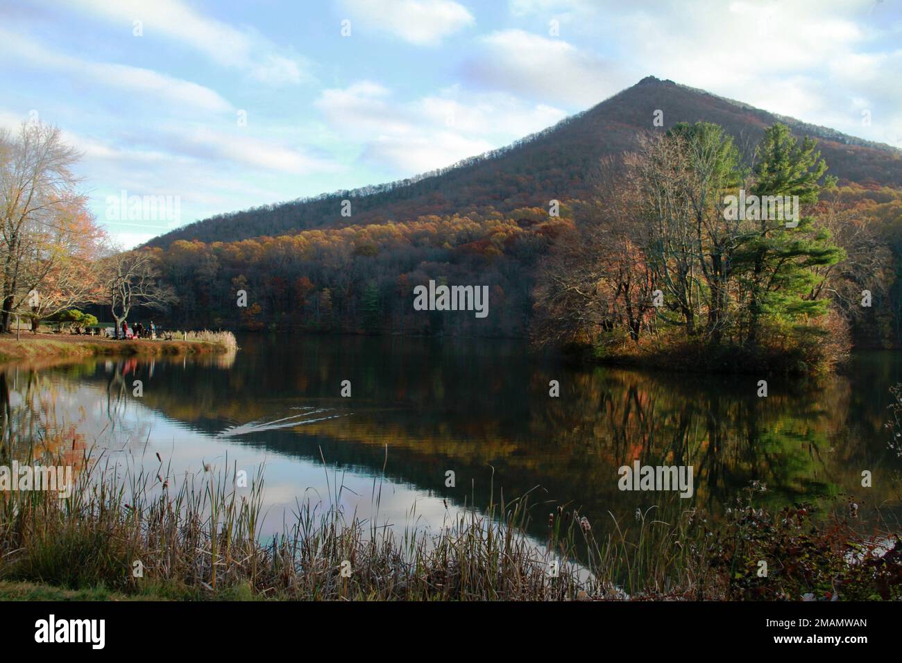 Blue Ridge Parkway, Virginia, USA. View of Abbott Lake and Sharp Top in ...