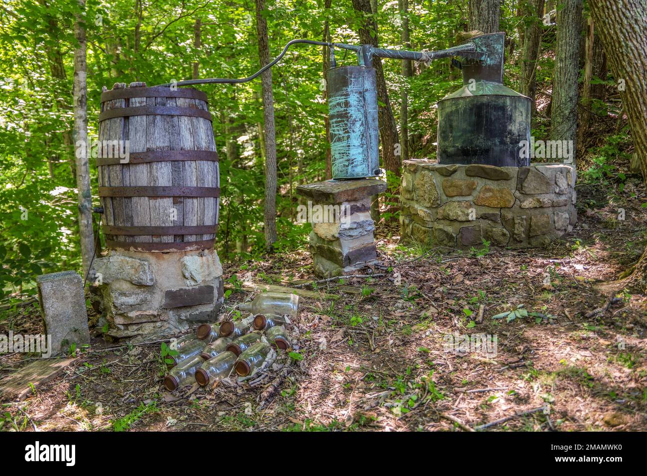 Large moonshine still set up hidden in an over grown area of the forest ...