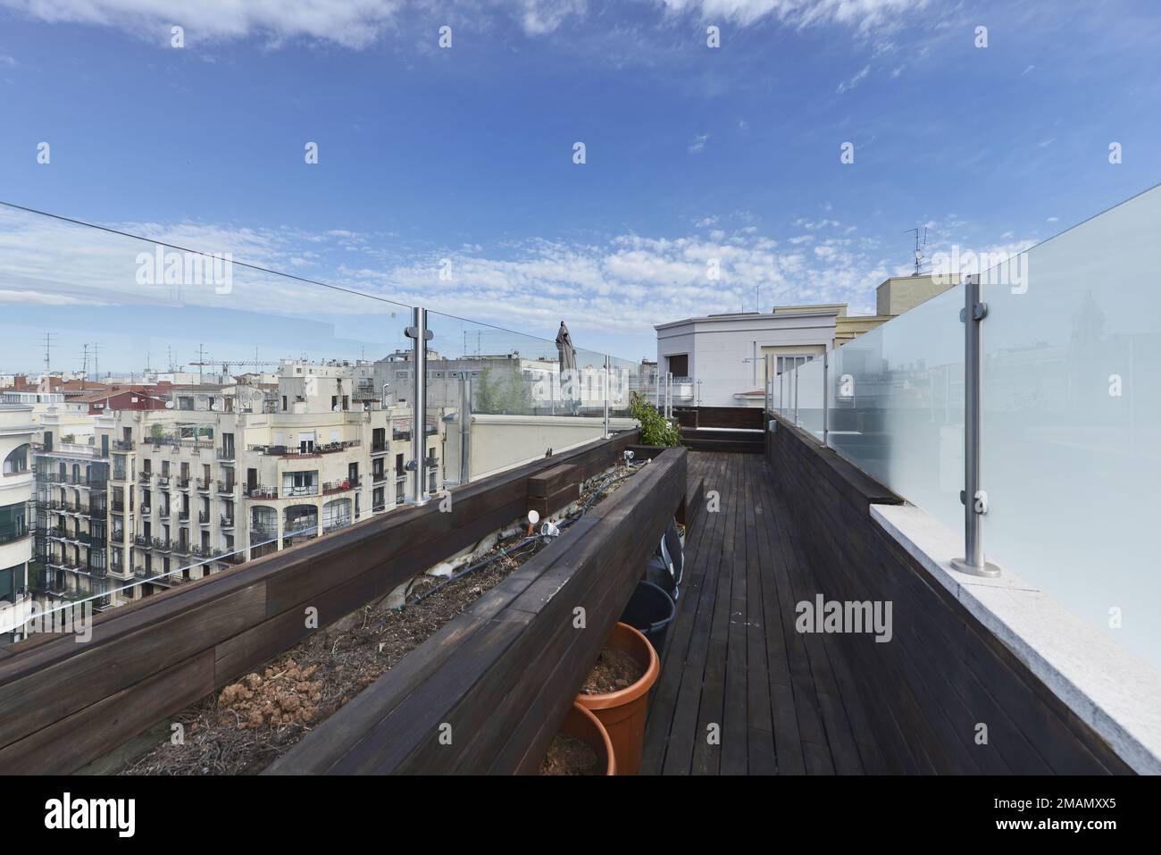 Corridor with flower pots and glass partitions with acacia wood on all ...
