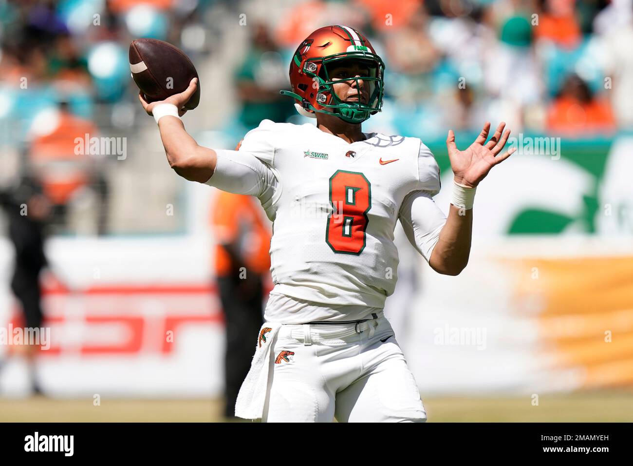 Florida A&M quarterback Jeremy Moussa (8) stands back to pass during ...