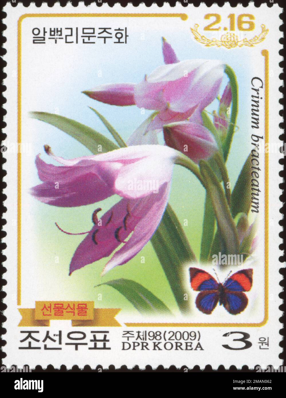 2009 North Korean postage stamp featuring Crinum bracteatum flowers and a butterfly ...