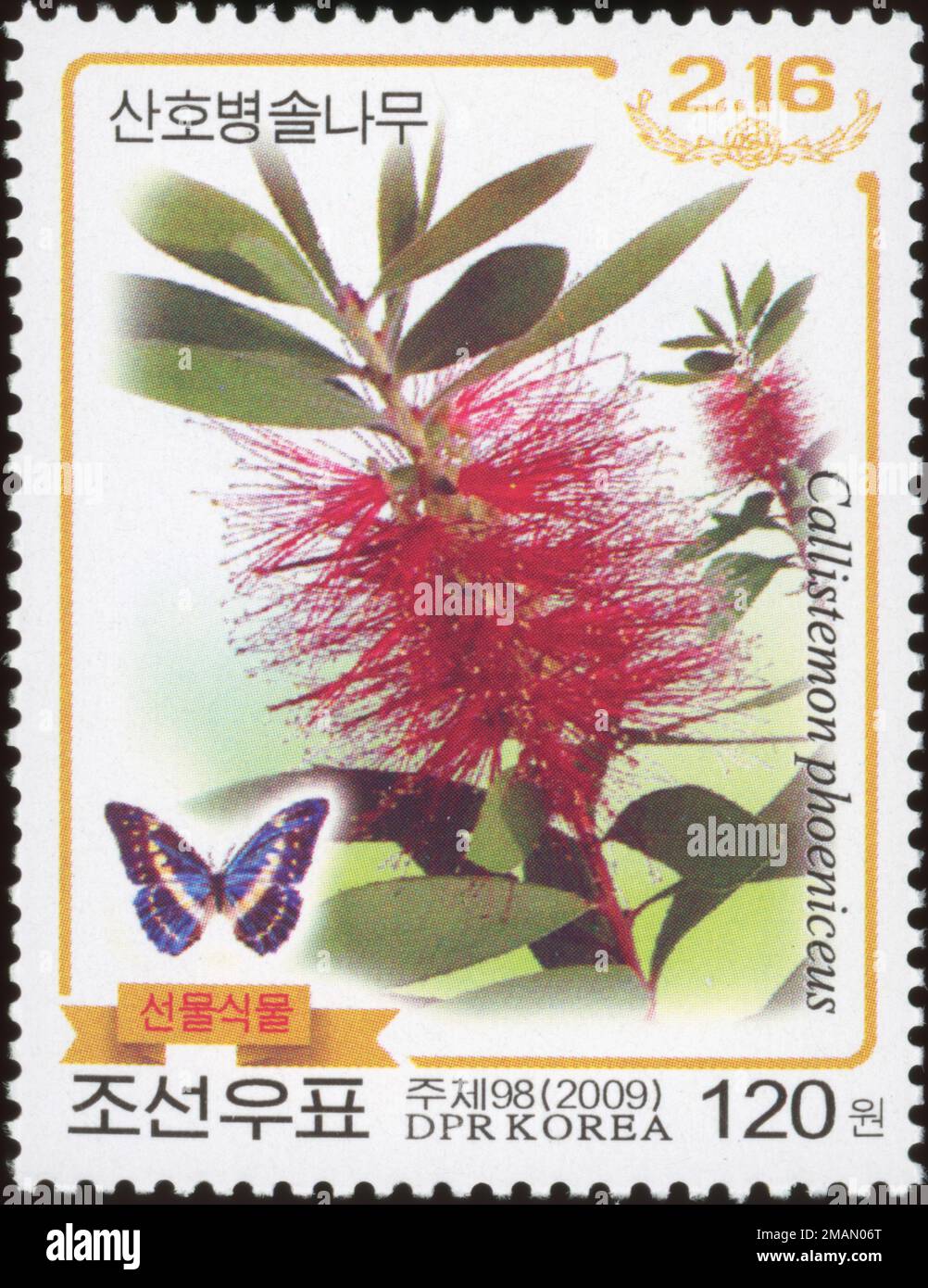 2009 North Korea stamp set. Butterflies and flowers. 66th Anniversary ...