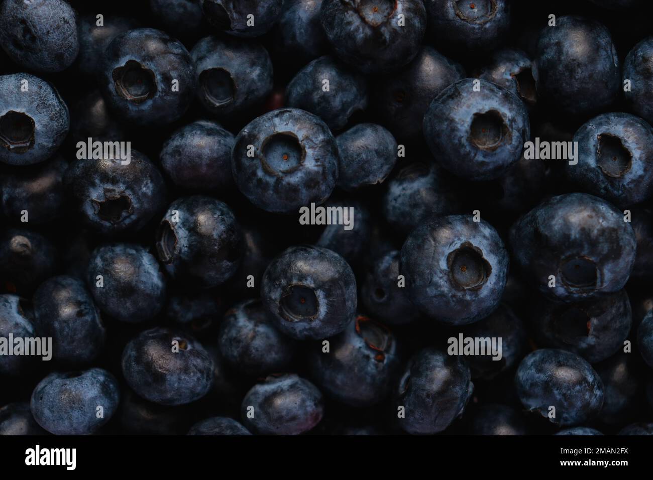 Blueberries natural hi-res stock photography and images - Alamy
