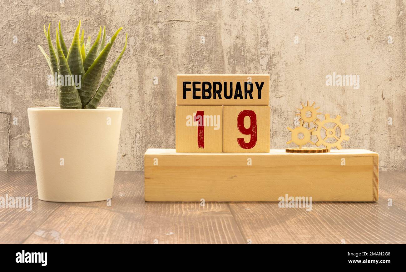 Cube shape calendar for February 19 on wooden surface with empty space ...