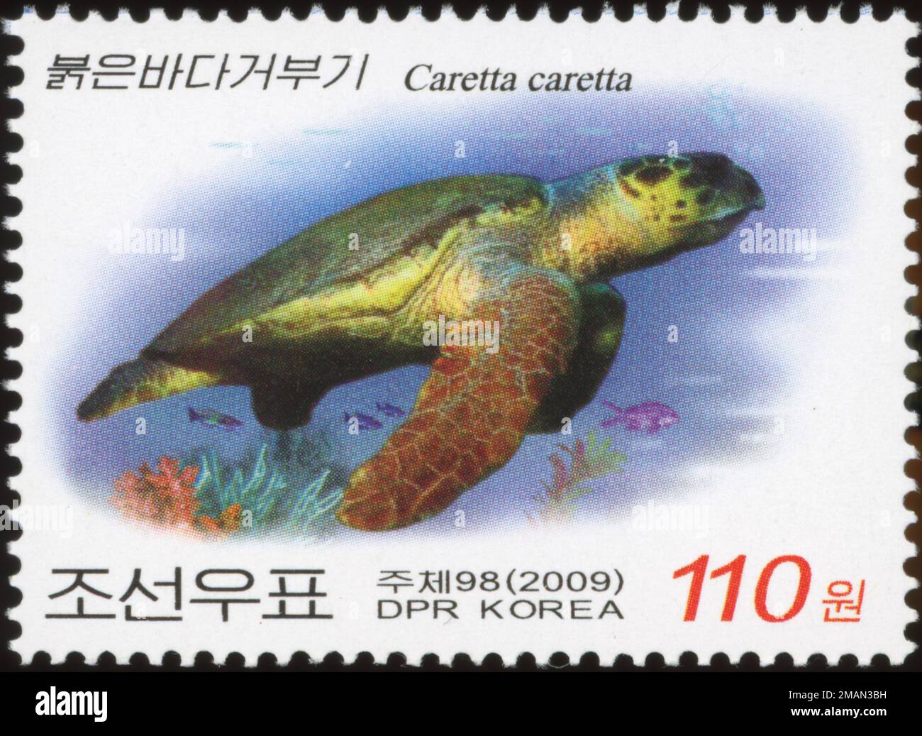 2009 North Korea stamp set. Reptiles. Loggerhead Sea Turtle, Caretta ...