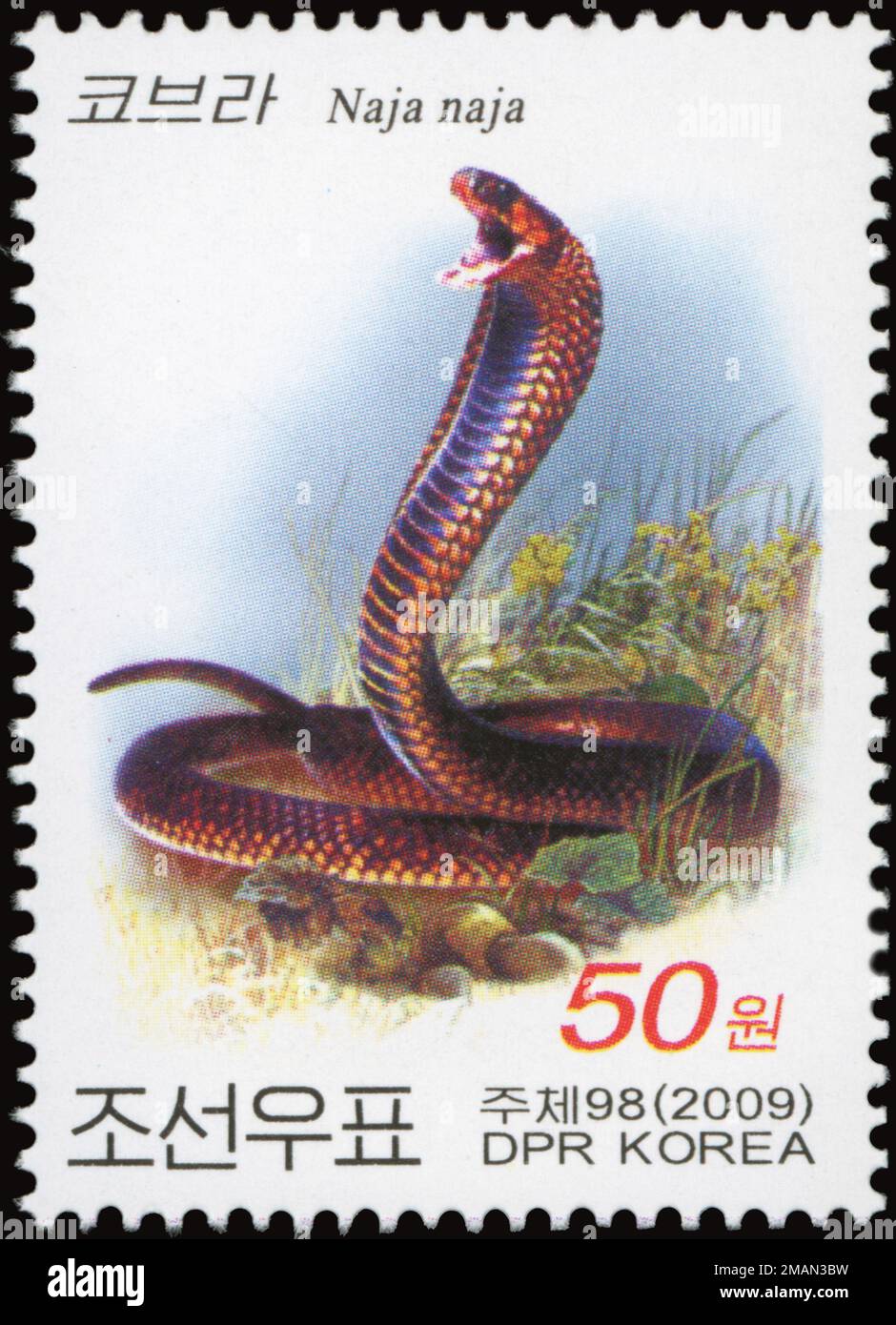 2009 North Korea stamp set. Reptiles. Cobra, Naja naja Stock Photo - Alamy