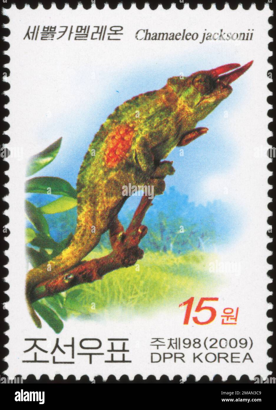 2009 North Korea stamp set. Reptiles. Jackson's horned chameleon ...
