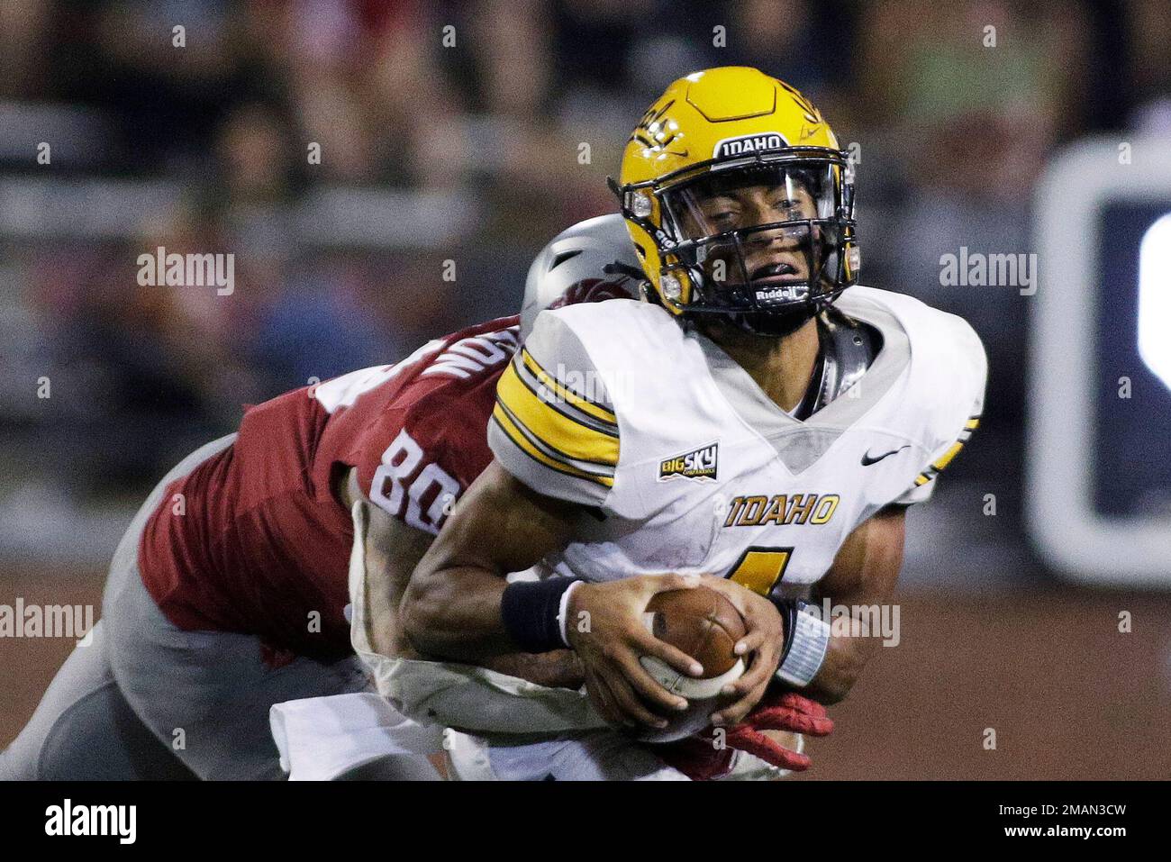 Washington State defensive end Brennan Jackson, left, sacks Idaho ...