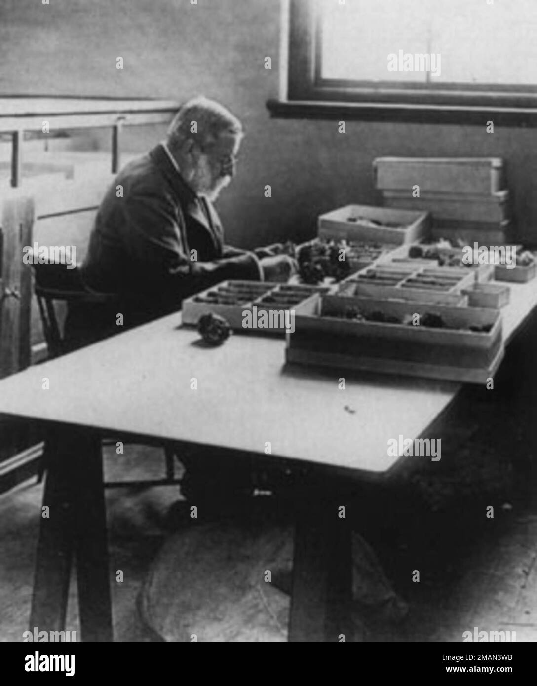 Sargent charles sprague hi-res stock photography and images - Alamy