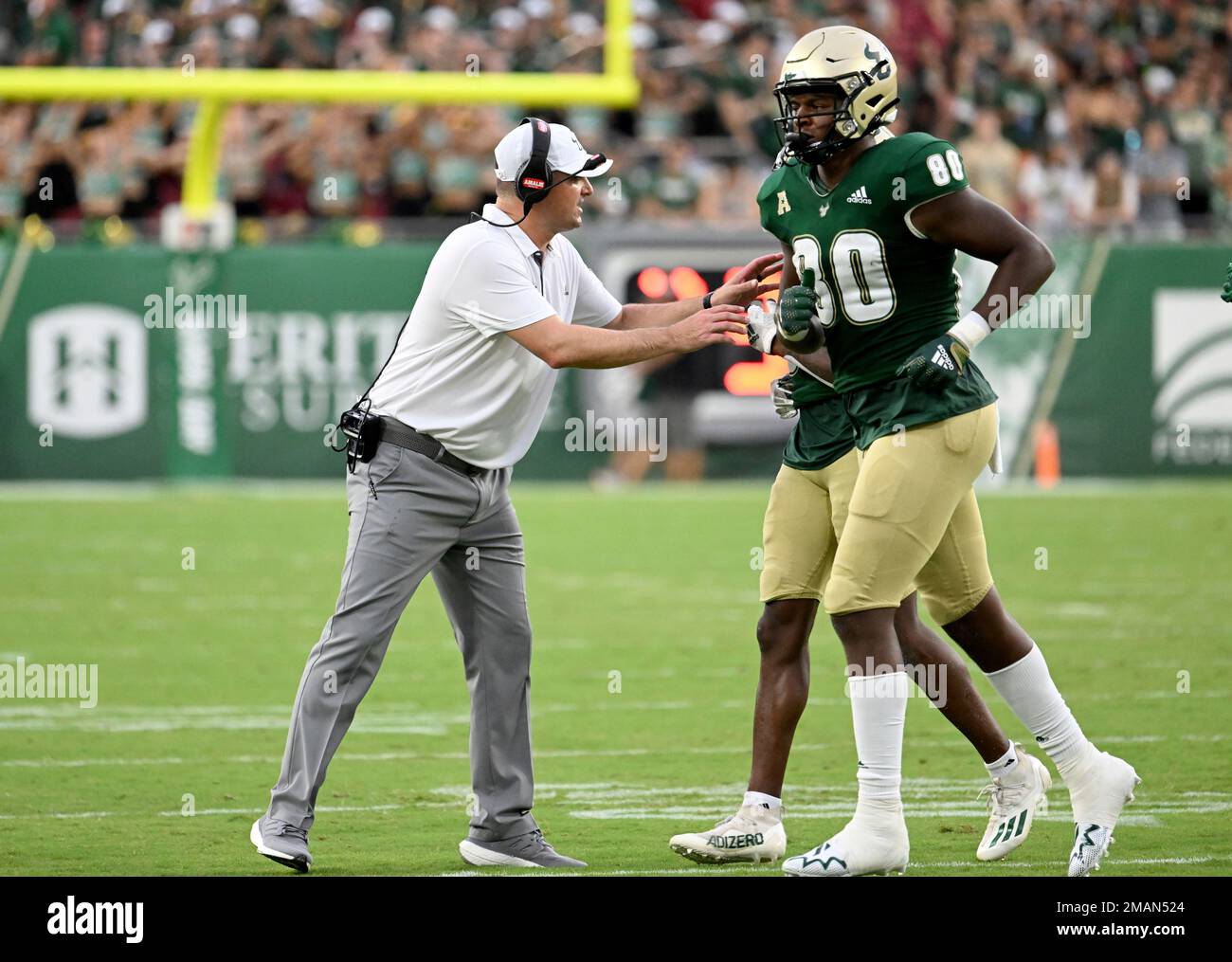South Florida head coach Jeff Scott during an NCAA college football ...