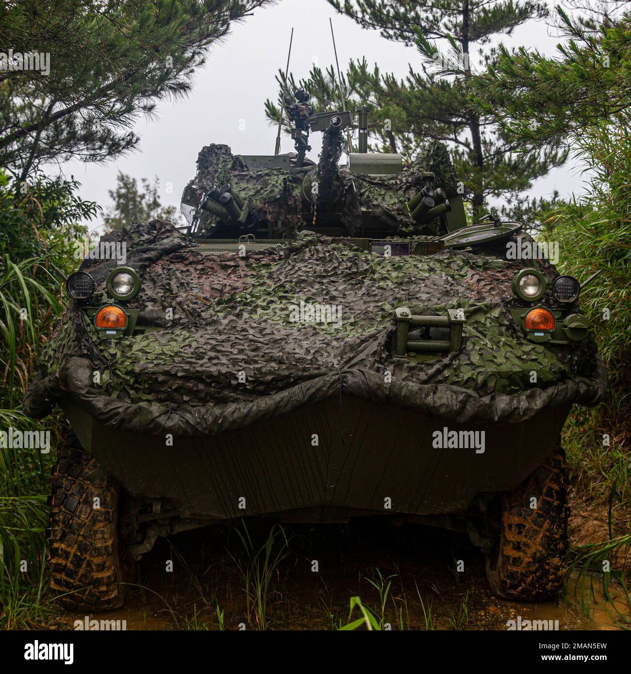 U.S. Marines with Battalion Landing Team 2/5, 31st Marine Expeditionary ...