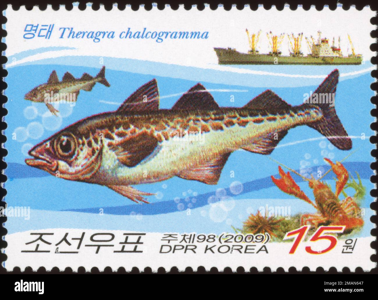 2009 North Korea stamp set. Fish. Theragra chalcogramma, Gadus ...