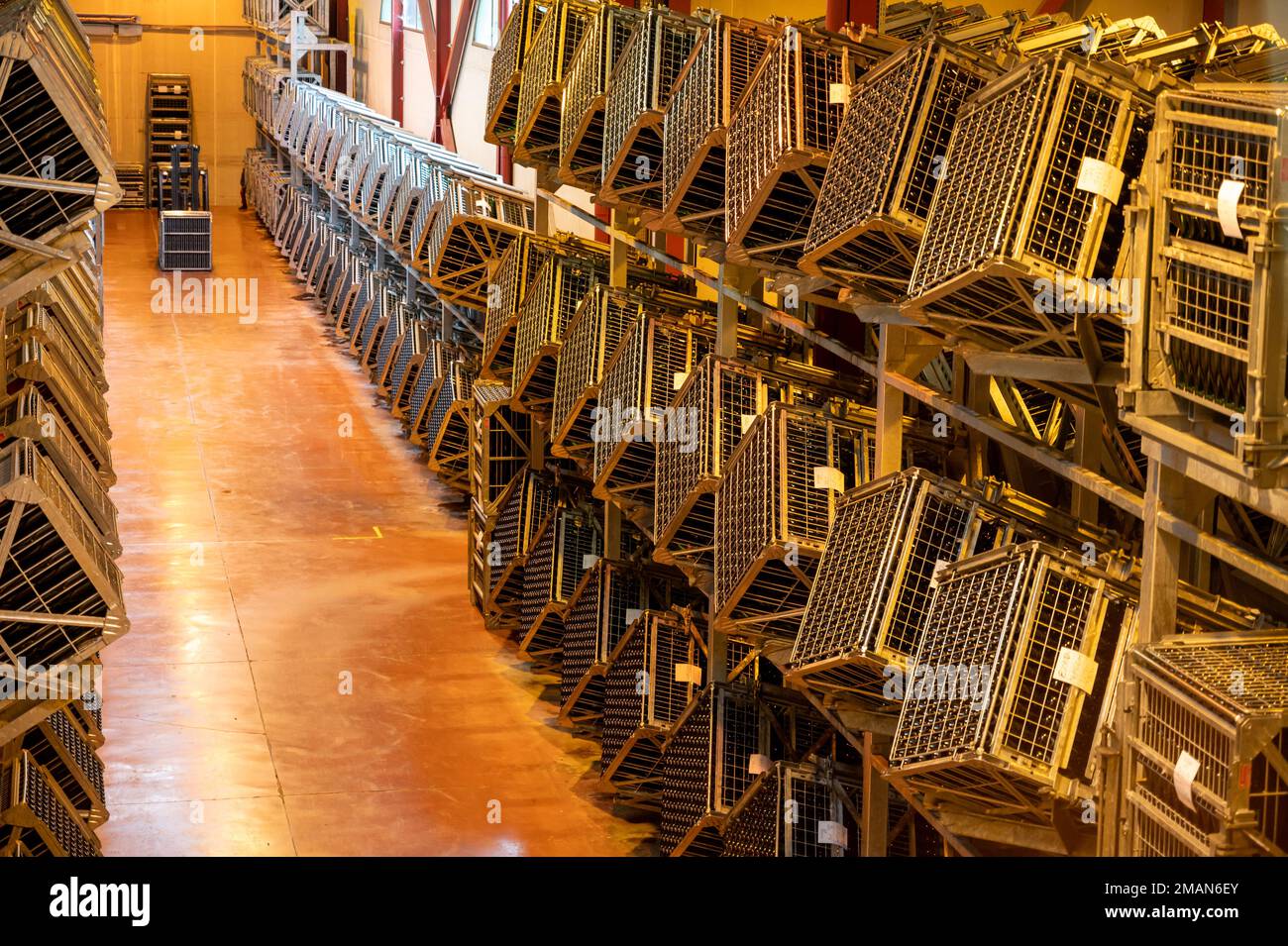 Production of cremant sparkling wine in Burgundy, France. Automatically ...