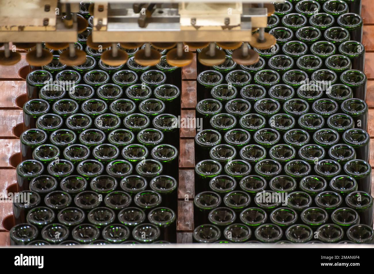 Production of cremant sparkling wine in Burgundy, France. Automatically ...