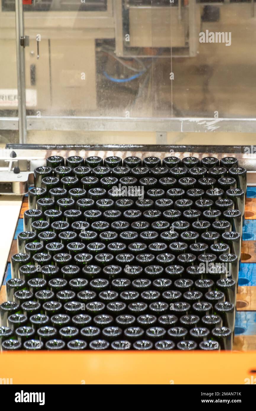 Production of cremant sparkling wine in Burgundy, France. Automatically ...