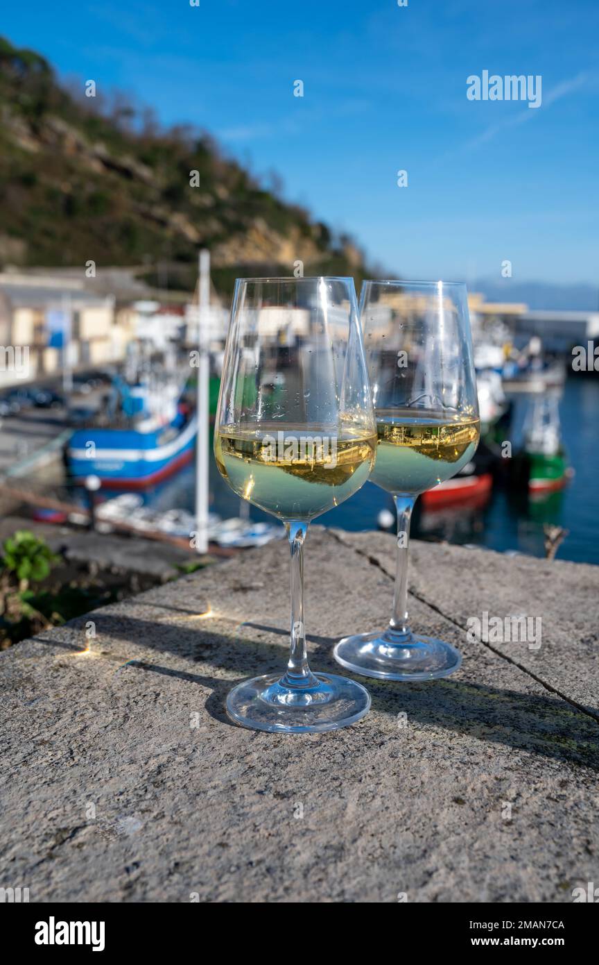 Tasting of txakoli or chacolí slightly sparkling very dry white wine ...