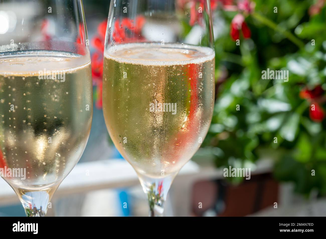 New year party, drinking of French brut champagne sparkling wine in ...