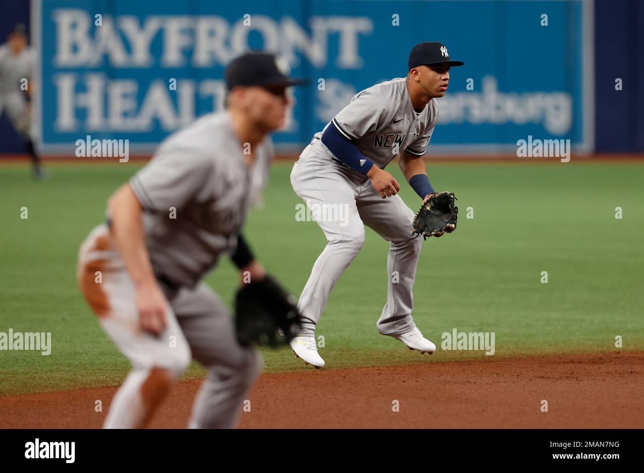 New York Yankees shortstop Oswald Peraza looks on the Tampa Bay Rays ...