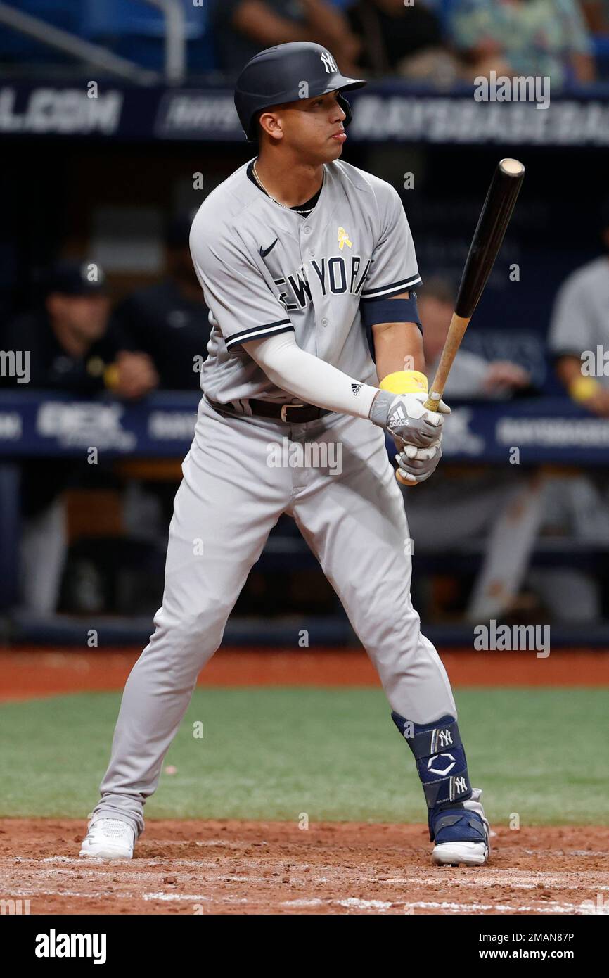 New York Yankees' Oswald Peraza stands in the batters box against the ...