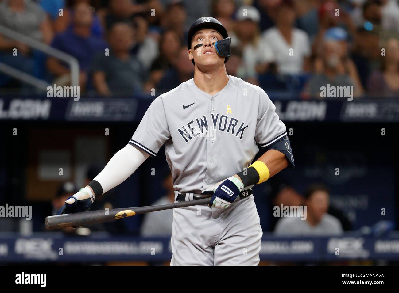 New York Yankees' Aaron Judge reacts while batting against the Tampa ...