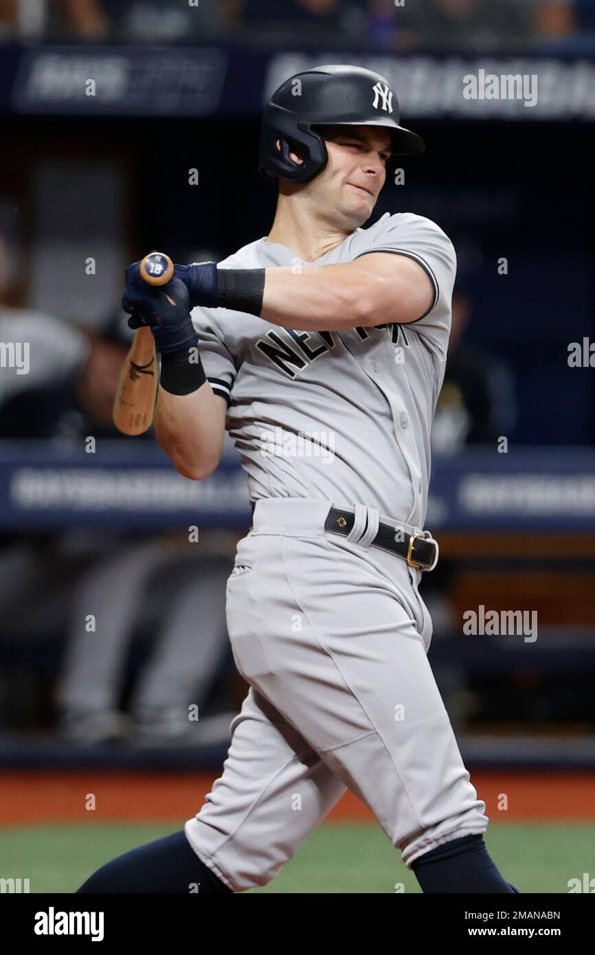 New York Yankees' Andrew Benintendi bats against the Tampa Bay Rays ...