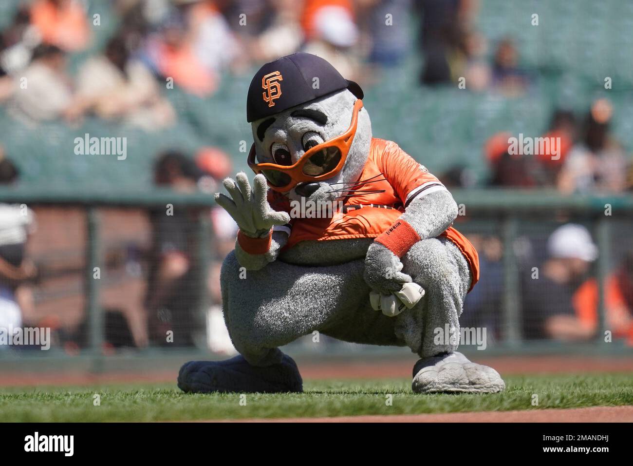 San Francisco Giants mascot Lou Seal before a baseball game between the ...