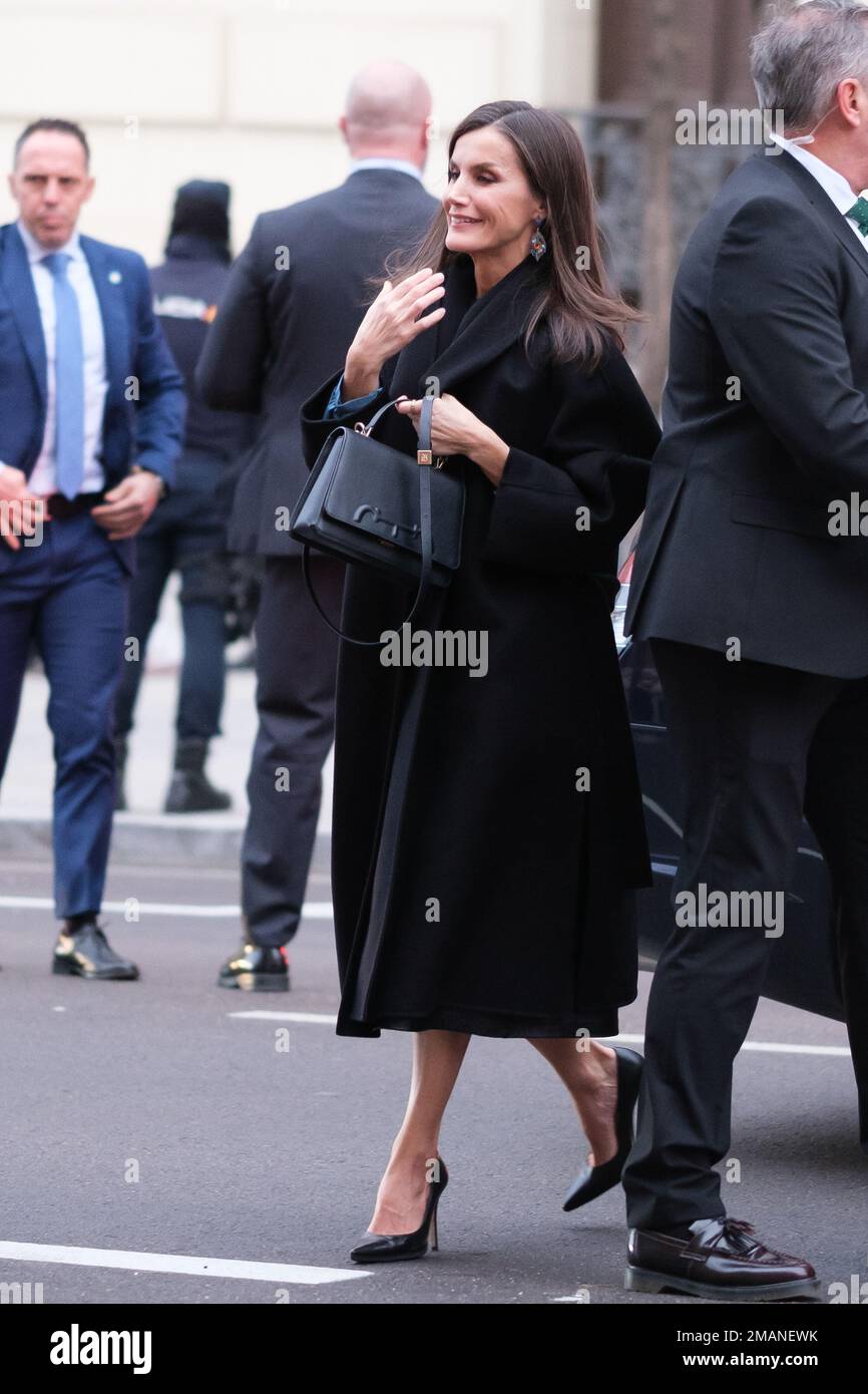 Madrid, Spain. 19th Jan, 2023. Queen Letizia of Spain attends a meeting ...