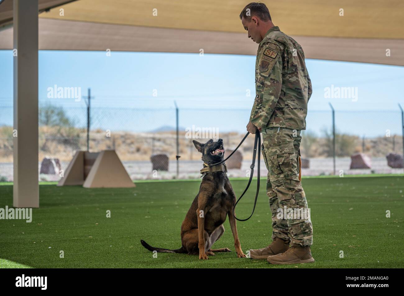 Security forces k9 handler dog hi-res stock photography and images - Alamy