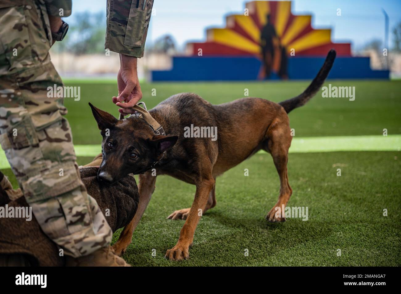 355th security forces squadron hi-res stock photography and images - Alamy