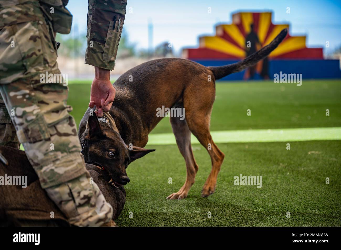 355th security forces squadron hi-res stock photography and images - Alamy