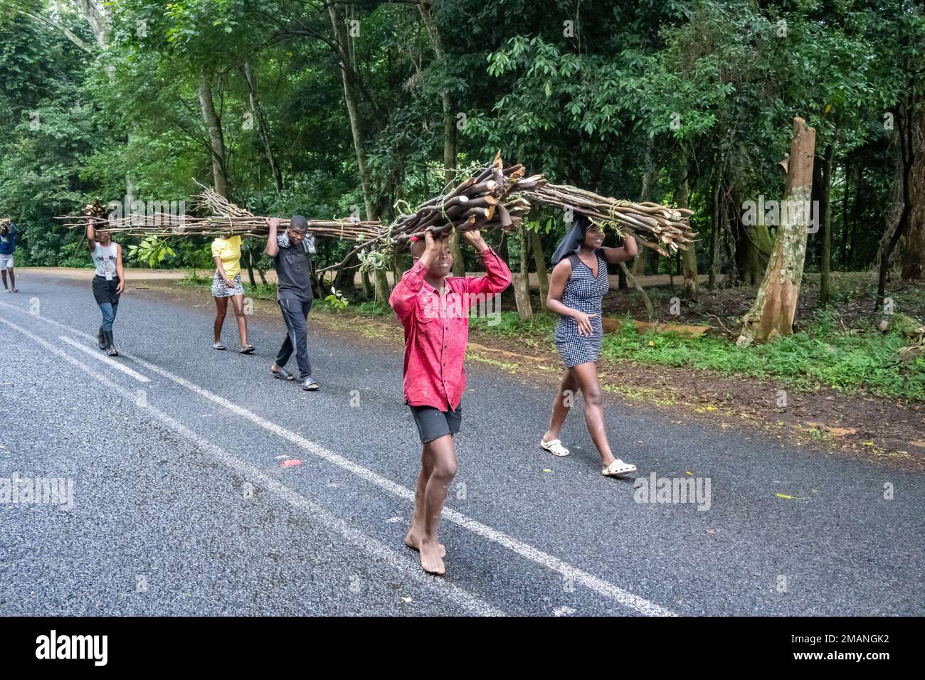 Young girls and boys carrying bundles of sticks over their heads ...