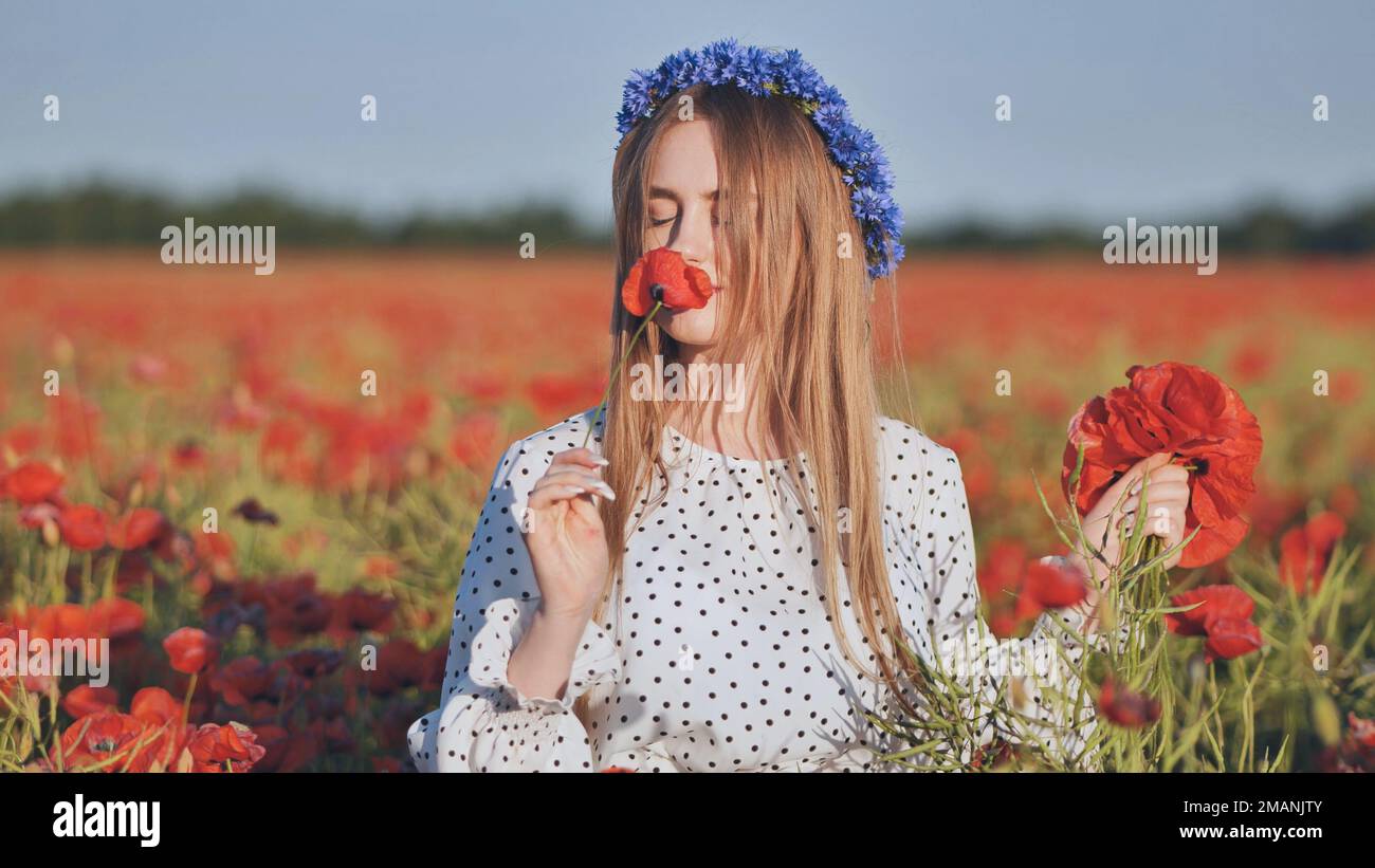 Ukrainian girl collecting and smelling a bouquet of poppies in a field ...