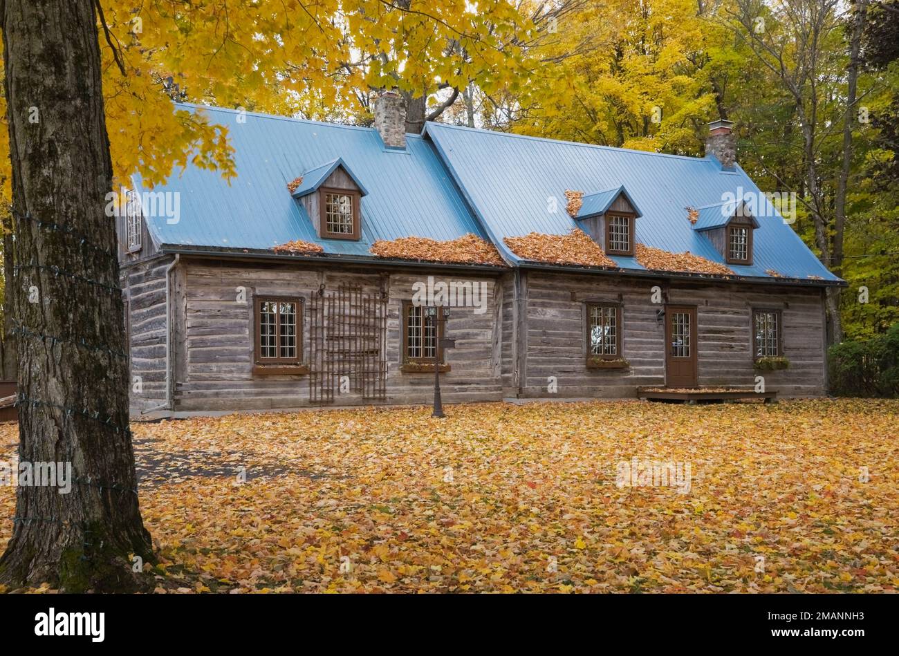 1980 reconstructed 1800s piece sur piece log home facade with blue ...