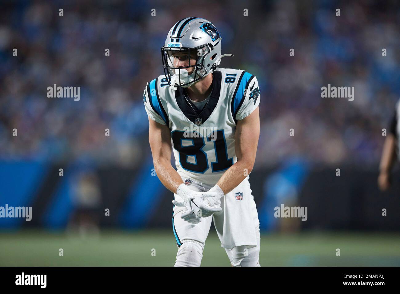 Carolina Panthers wide receiver C.J. Saunders (81) lines up on offense during an NFL preseason ...