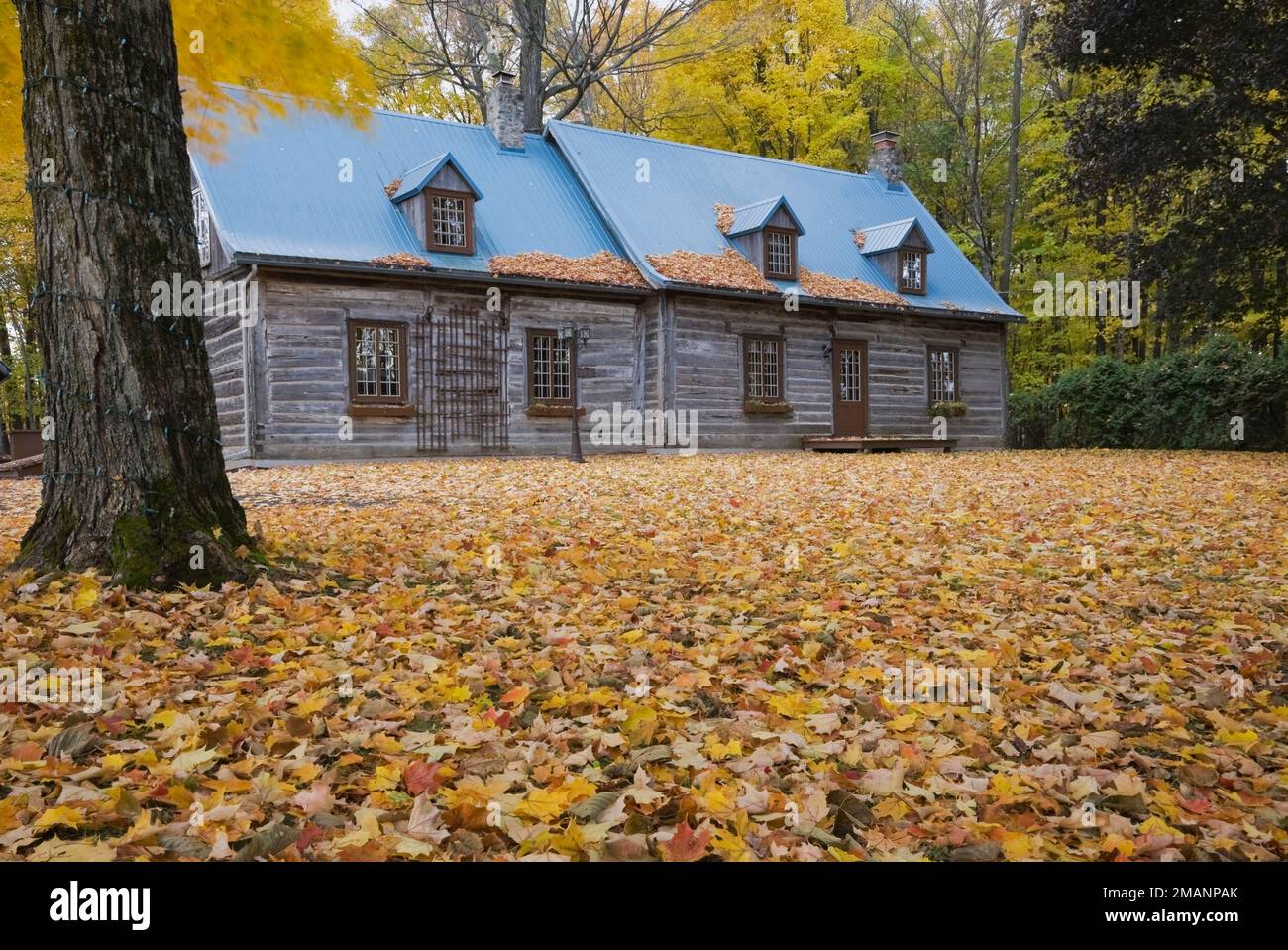 1980 reconstructed 1800s piece sur piece log home facade with blue ...