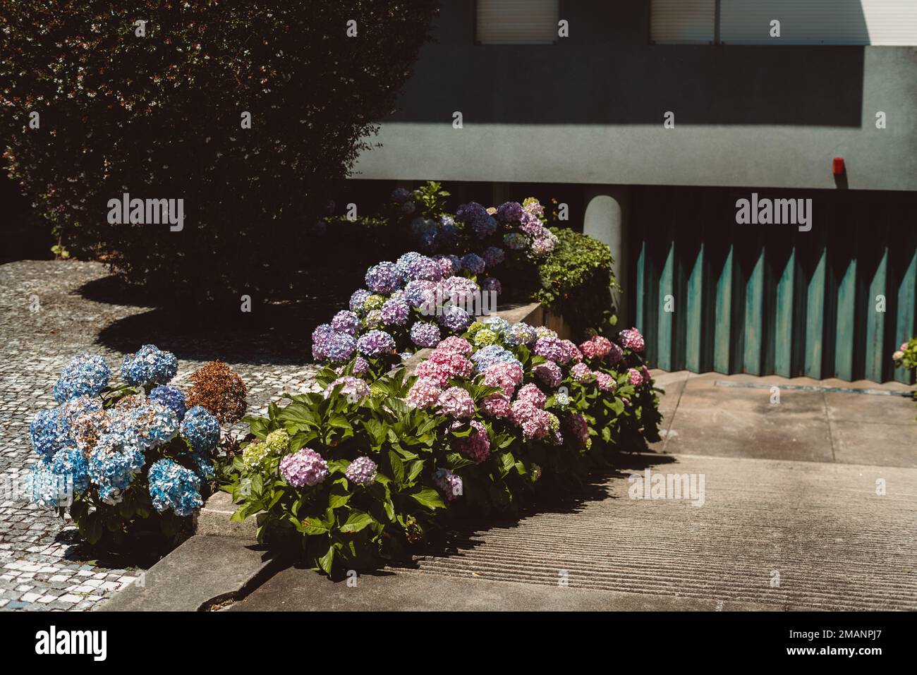 A ramp that gives access to a garage entryway with a green color gate ...